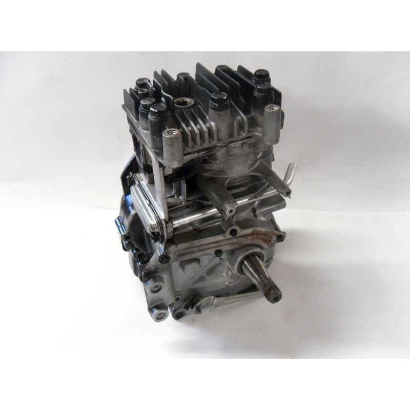 MOTEUR B&S (VIKING MB455)