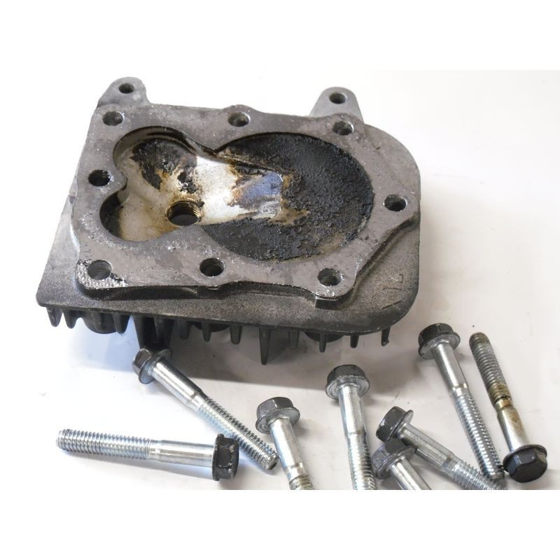 CULASSE MOTEUR B&S QUANTUM 55 XM (1)