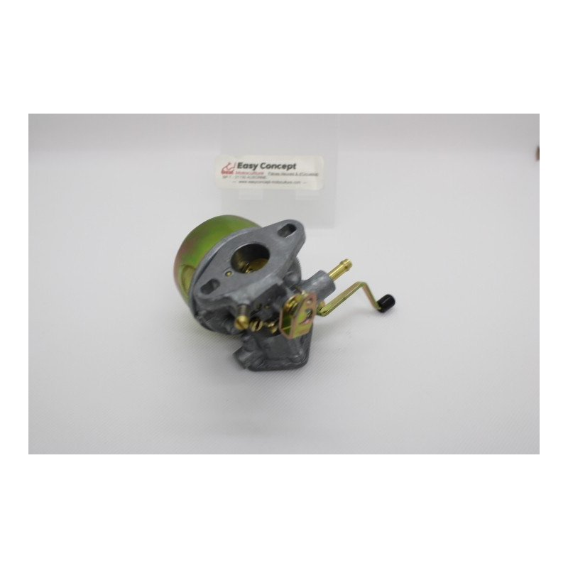 Carburateur Moteur Robin EC 06 Référence 560 60060 00
