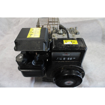 Moteur Complet Occasion Révisé BRIGGS & STRATTON 5 HP DOUBLE SORTIE (1)