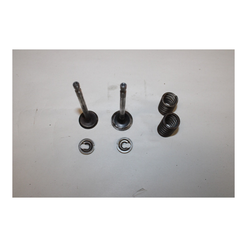 SOUPAPES MOTEUR BRIGGS & STRATTON 5 HP 2 SORTIES