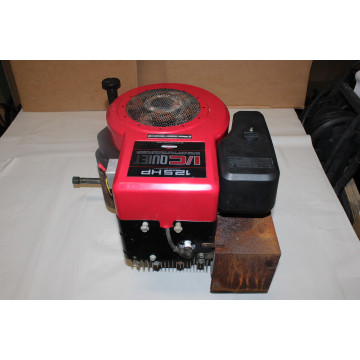 Moteur Complet Occasion Révisé BRIGGS & STRATTON 12.5 HP I/C QUIET (2)