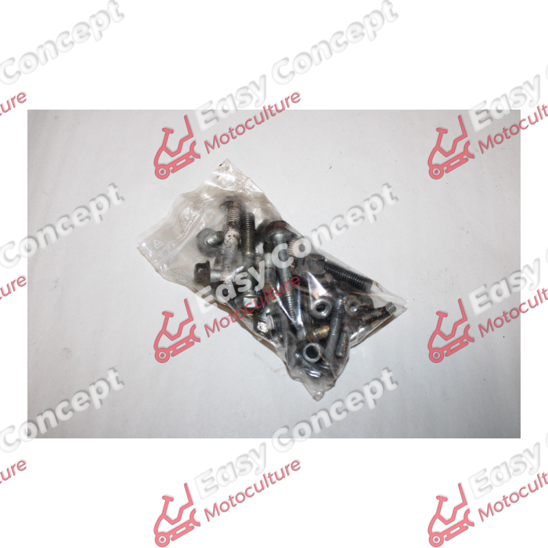 VISSERIE MOTEUR HONDA GXV 160