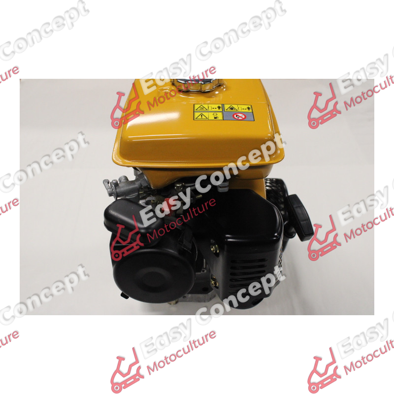 MOTEUR COMPLET ROBIN EY 15