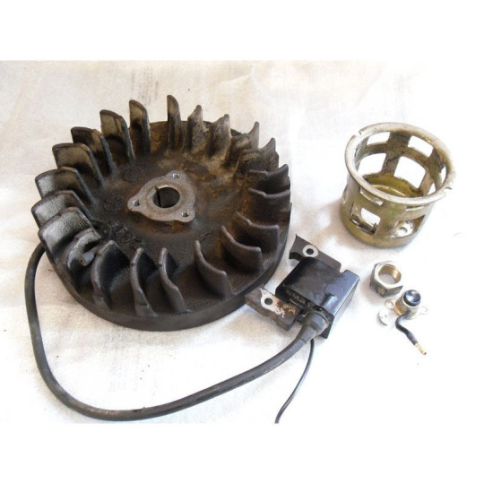 ALLUMAGE COMPLET MOTEUR ROBIN EY 28 (1)