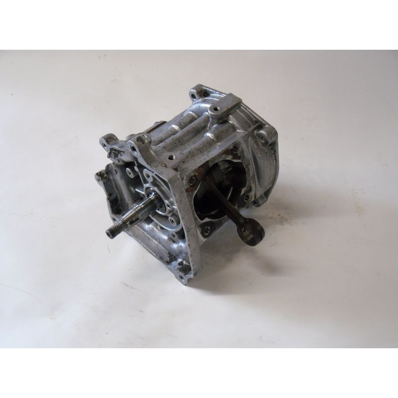 BAS-MOTEUR ROBIN NB 03 (1)