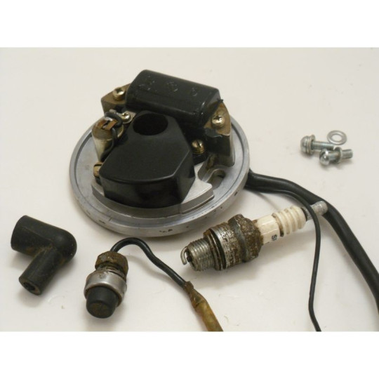 ALLUMAGE COMPLET MOTEUR ISEKI KT 290 2 TEMPS (3)