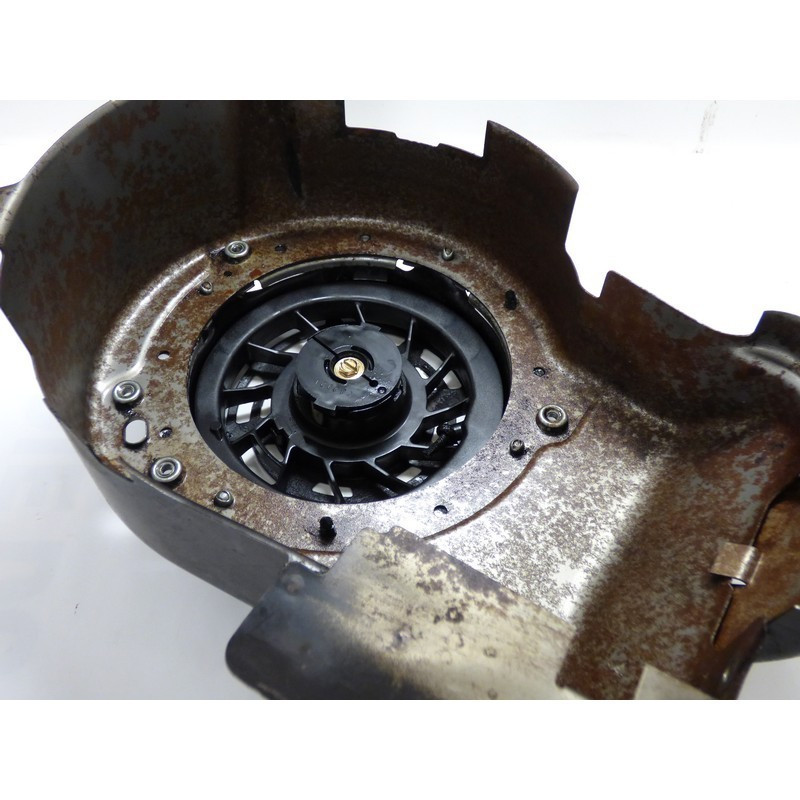 LANCEUR COMPLET BRIGGS & STRATTON QUANTUM 60(1)