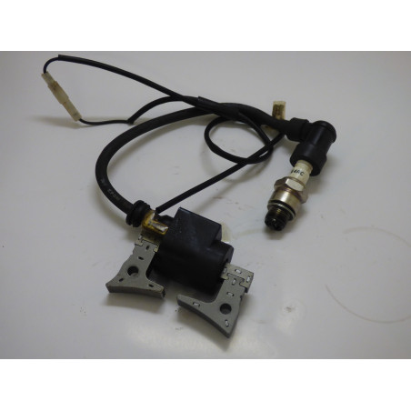 BOBINE ALLUMAGE ROBIN SUBARU EP 17 (16)