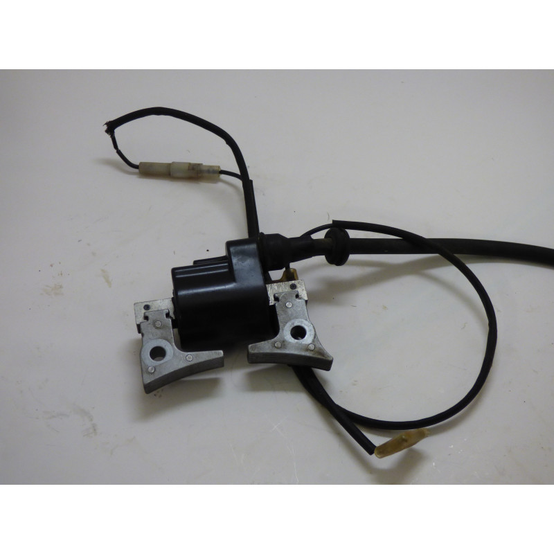 BOBINE ALLUMAGE ROBIN SUBARU EP 17 (20)